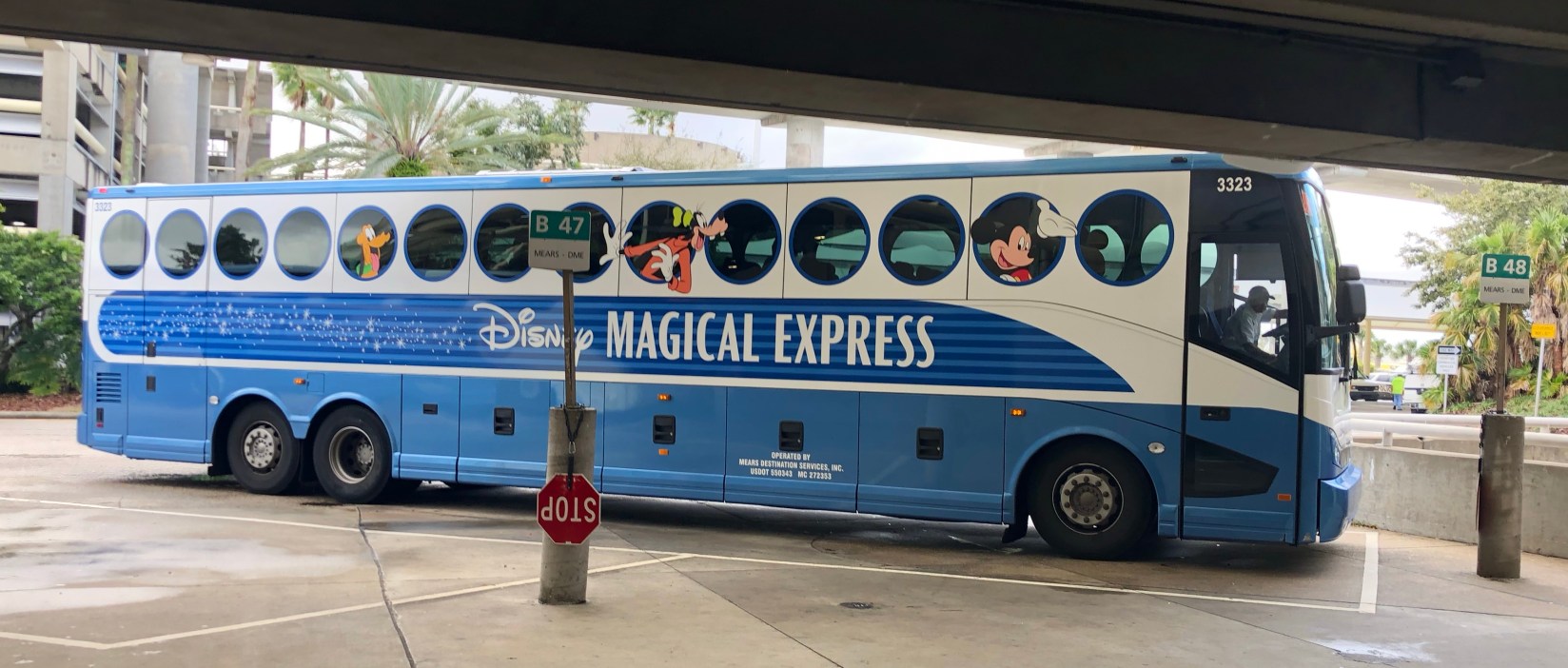 Getting Around Walt Disney World – Taylor's Adventures in Wonderland